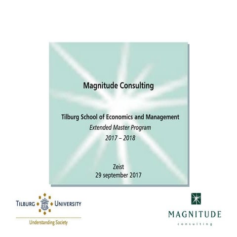 Extended Master - Presentation Magnitude Consulting | PDF | Management ...