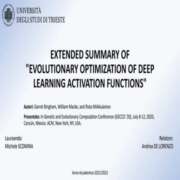 Extended Summary of "Evolutionary Optimization of Deep Learning Activation Functions ...
