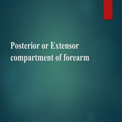 Extensor compartment of forearm (1).ppt