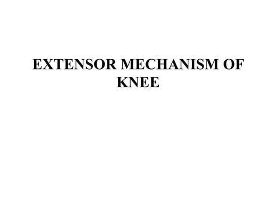Injuries to ACL, PCL, and MCL | PPT