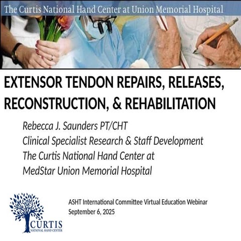 Tendon Rehabilitation Pyramid | PDF