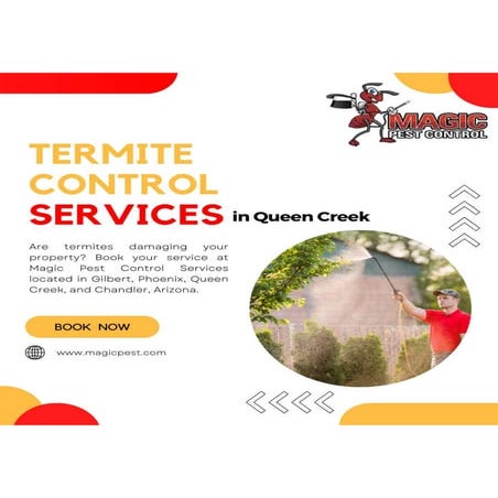 Defeat Pest With Magic Pest Control in Gilbert, Queen Creek, and ...
