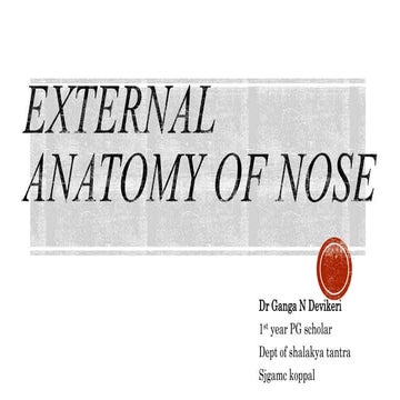 EXTERNAL ANATOMY OF NOS by dr gangaE .pptx