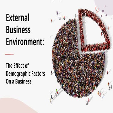 External Business Environment in Marketing | PPTX
