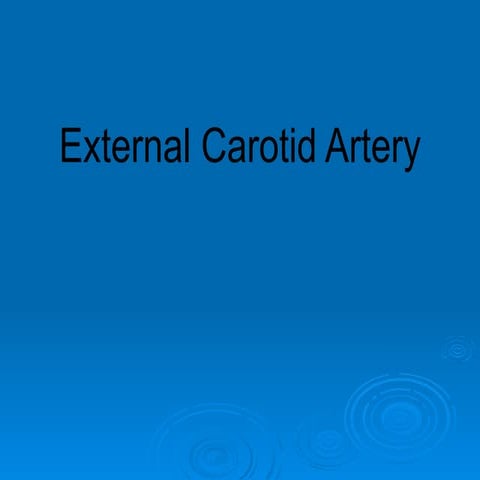 External carotid Artery and its branches.pptx