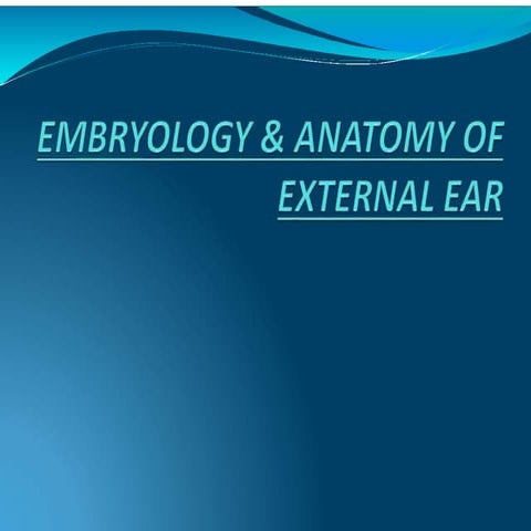 external ear.pptx