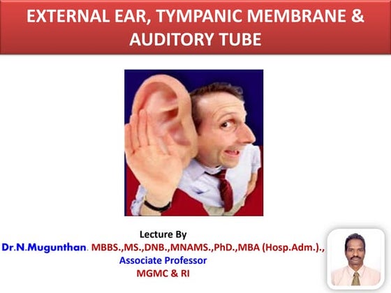 Anatomy of external ear | PPT
