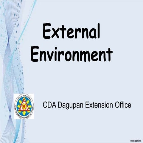 External Environment | PPTX