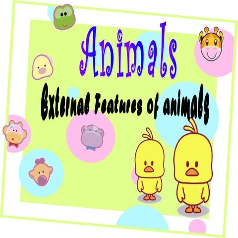 External features of the animals | PPT