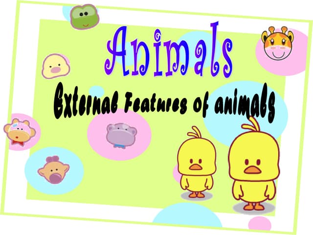 body parts of animals.pptx scielce lesson for grade 3 | PPTX