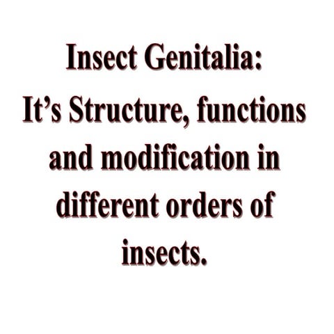 INSECT ABDOMEN:IT’S SEGMENTATION AND APPENDAGES,STRUCTURE,FUNCTION AND ...