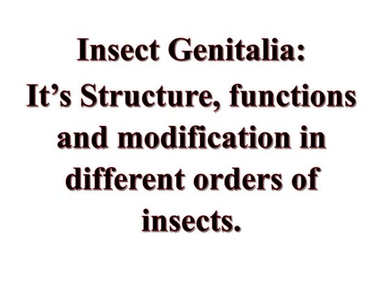 Reproductive system in insect and its types | PPTX | Reproductive ...
