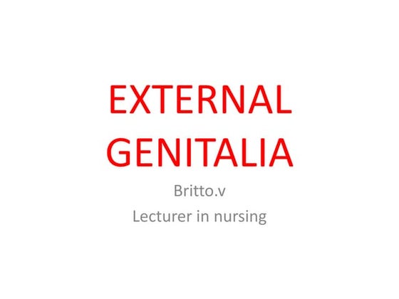 Female reproductive system | PPT