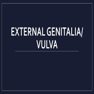 Female External Genitalia and Vulva | PPT
