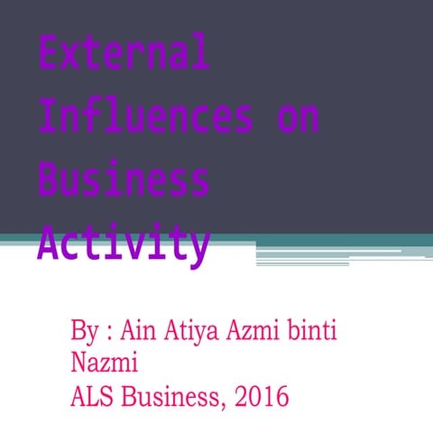 External influences on business activity | PPTX
