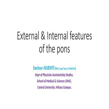External & Internal features of the pons.pptx