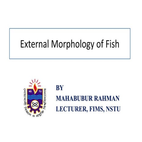 External morphology of fish | PPTX