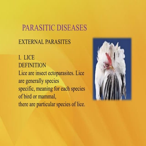 poultry diseases external parasites | PDF