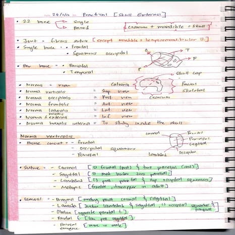 External Skull (Practical) | PDF