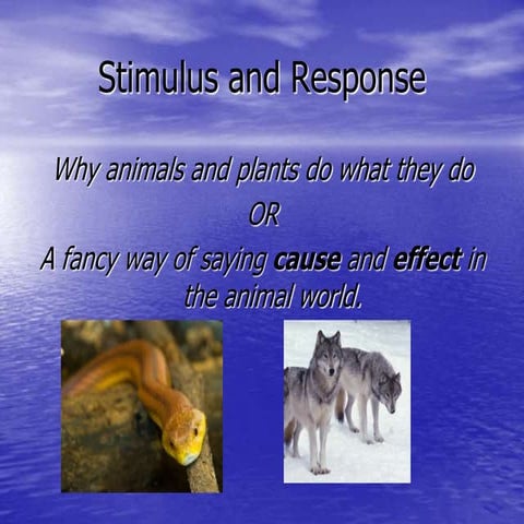 external_stimuli (1).ppt