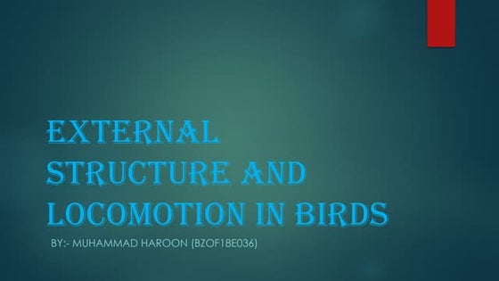 Insect Wings, Structure and their Modifications | PPT