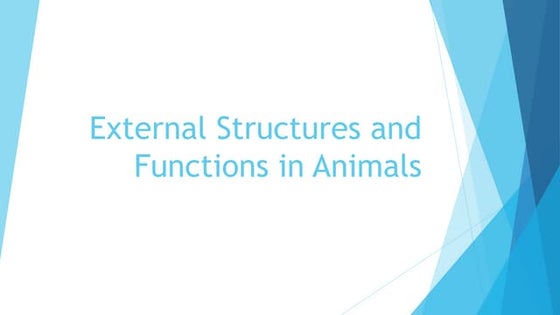 Body Covering of Animals | PPT