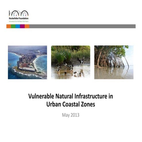 Vulnerable Natural Infrastructure in Urban Coastal Zones | PDF