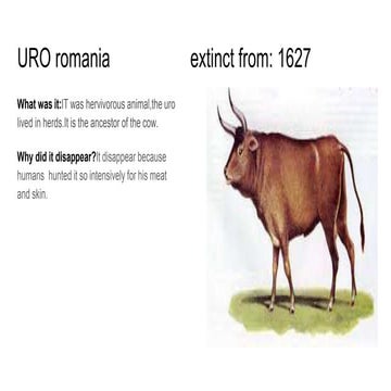 Extinct animal of my country | PPTX