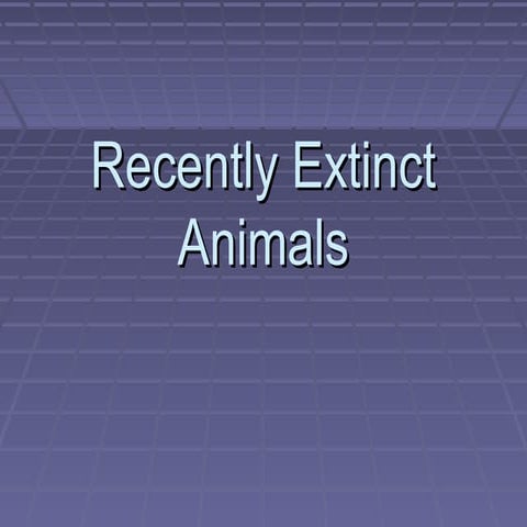 алешин дима. Extinct animals | PPT