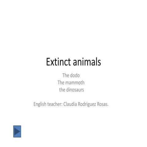 Animal third grade presentation | PPTX