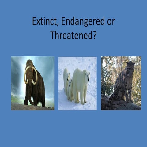 Extinct, endangered or threatened | PPT
