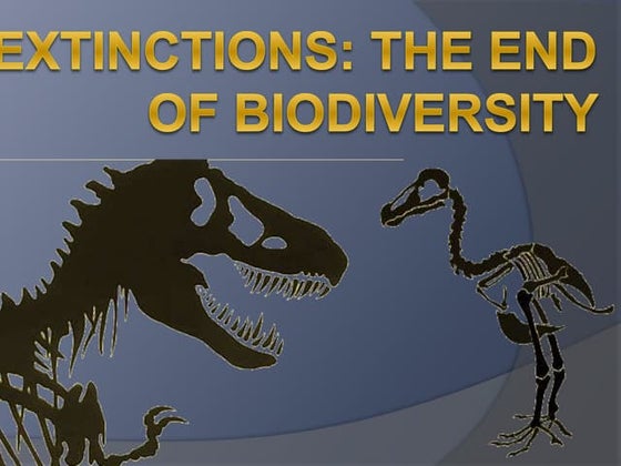 Biodiversity and stability | PPT