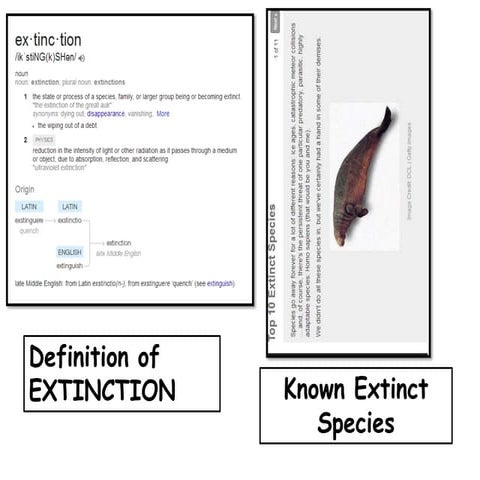 About Extinctions | PPTX | Geology | Science