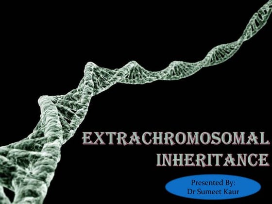 CYTOPLASMIC INHERITANCE | PPT | Infertility | Reproductive Health