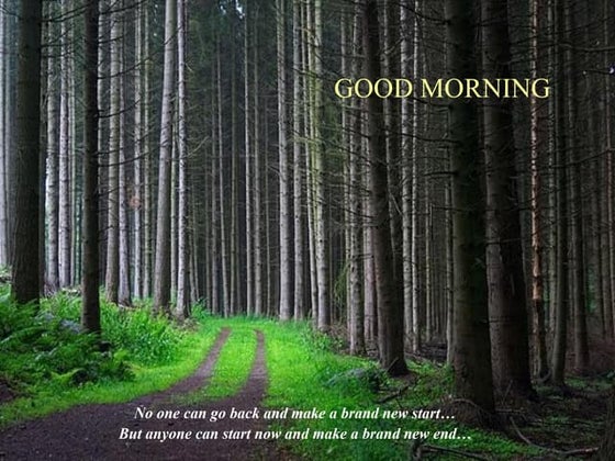 Gothic arch tracing. | PPTX | Oral care | Personal Care