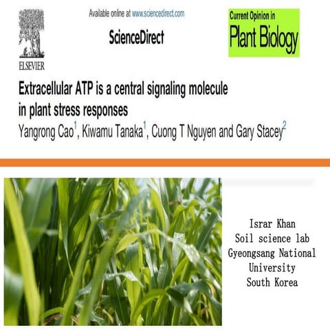 Extracellular ATP as a central signaling molecule in plant stress ...