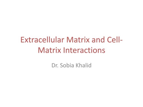 EXTRACELLULAR MATRIX AND ITS COMPONENTS | PPTX | Biological Sciences | Science
