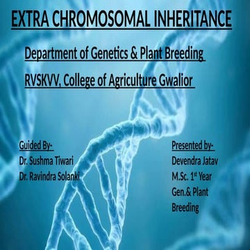 Extra Chromosomal Inheritance in the Genetics | PPTX
