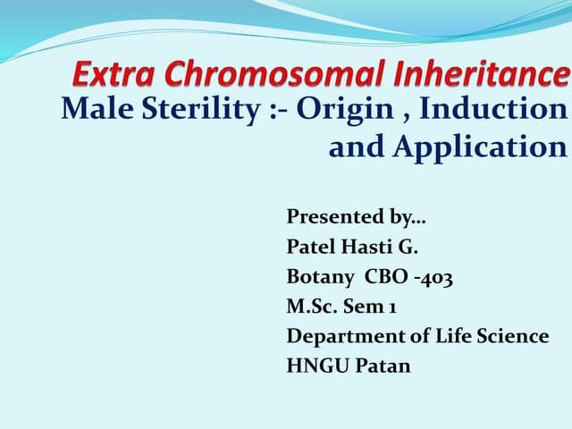 Heterochromatin and euchromatin mains | PPTX | Genetics | Science