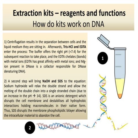 Extraction kits – how do kits work on dna | PPT