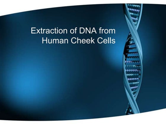 Dna Extraction From Wheat Germ | PPT