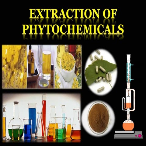 Extraction of phytochemicals | PDF