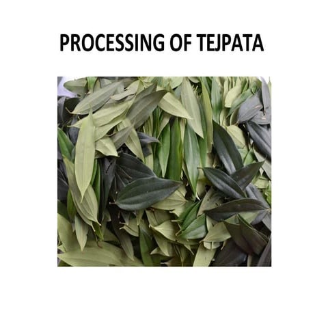 extraction of tejpata by various methods and it's limit test | PPT