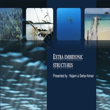 Extra embryonic membranes | PPT