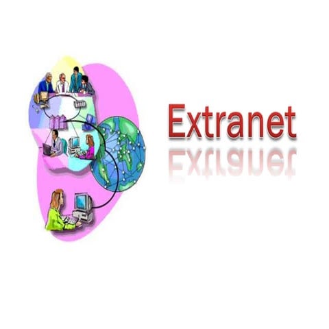 Extranet | PPTX | Computing | Technology & Computing