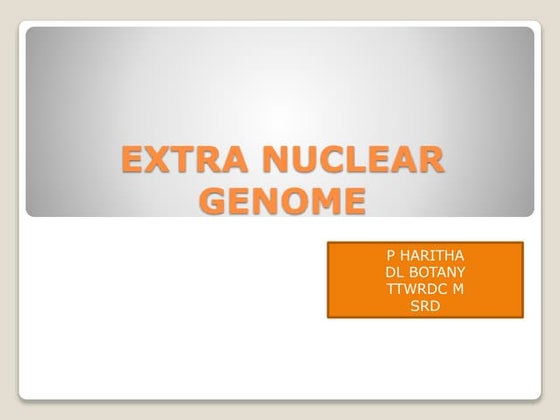 GENOME ORGANISATION IN EUKARYOTES | PPTX
