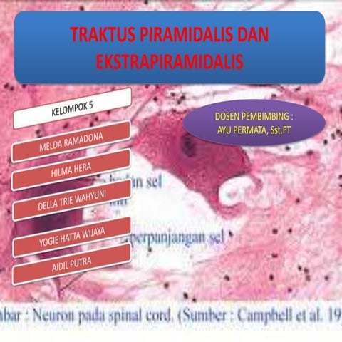 Extrapiramidalis | PPTX