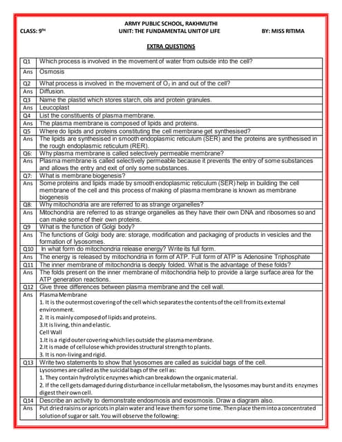 Seven Regions of india.pdf | Asia Travel | Travel Locations