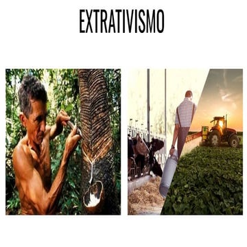 Extrativismo no Brasil - Animal, vegetal e mineral | PPTX