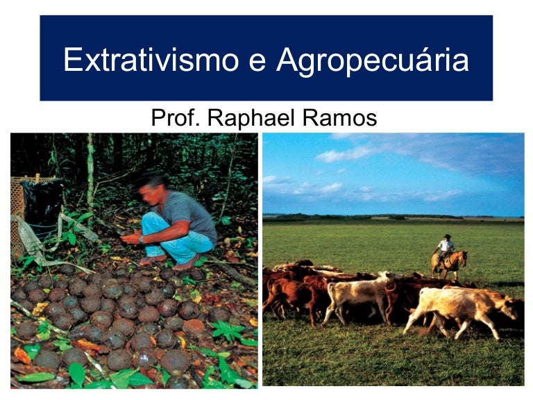 Extrativismo e agropecuária
